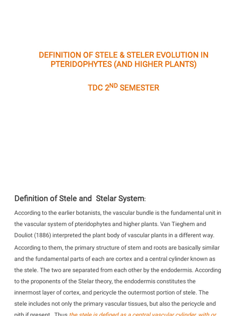 Definition of Stele & Steler Evolution in Pteridophytes (And Higher ...