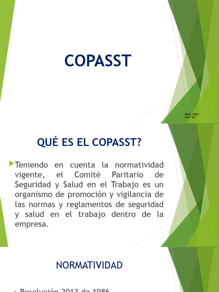 Funciones y Responsabilidades Del Copasst | PDF