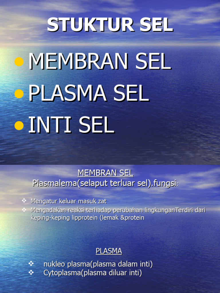 SEL (Biologi 2) | PDF