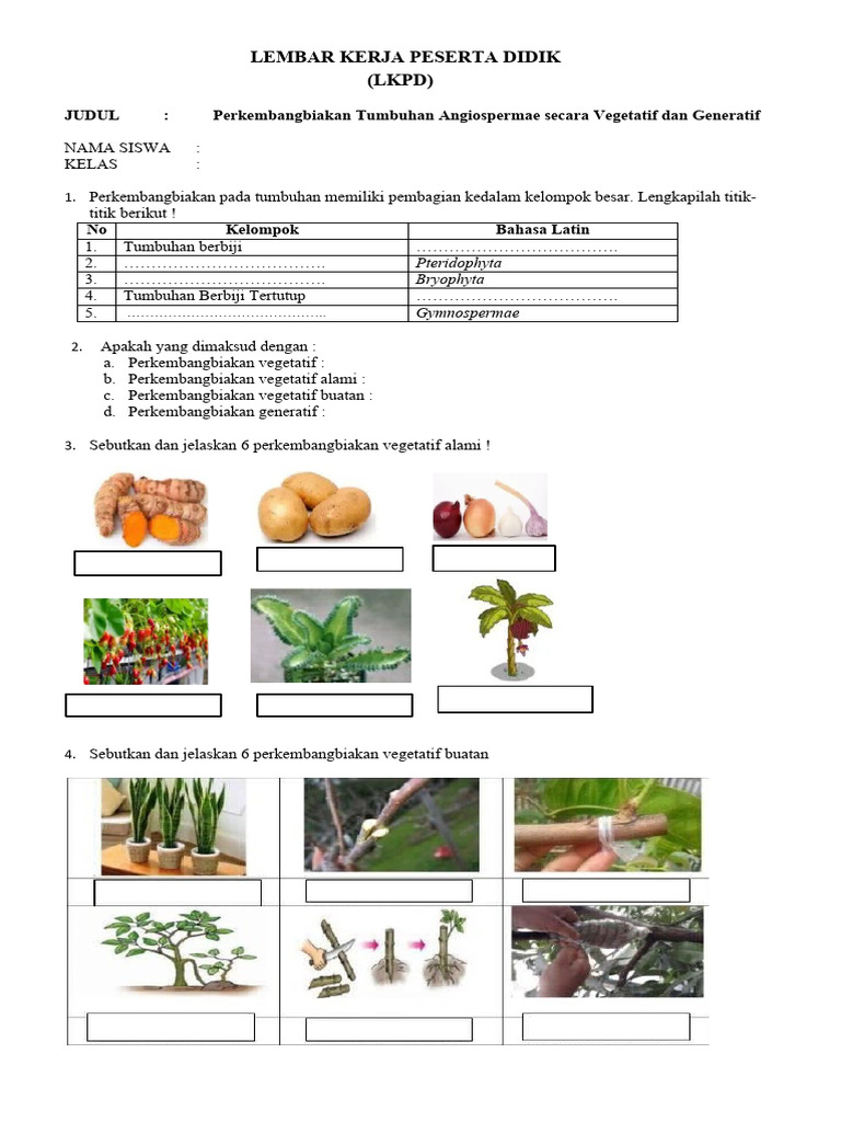 LKPD Perkembangbiakan Tumbuhan | PDF