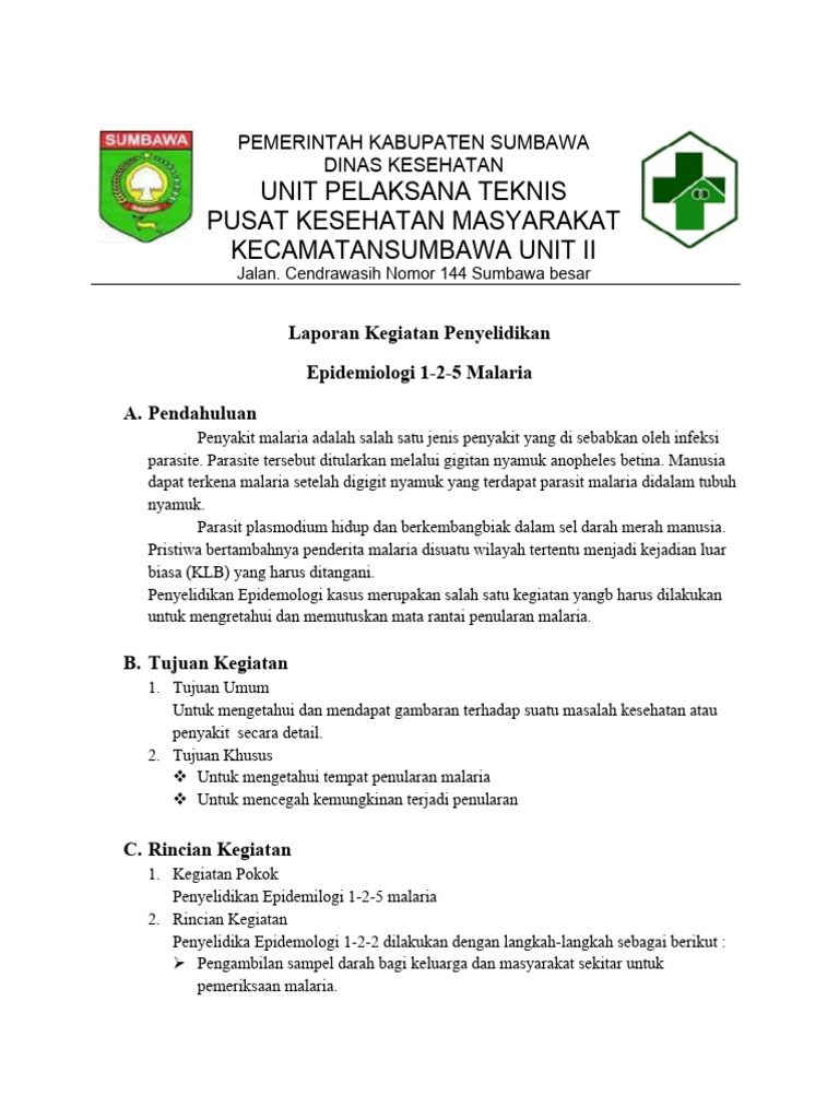 Laporan Kegiatan Malaria 125 | PDF
