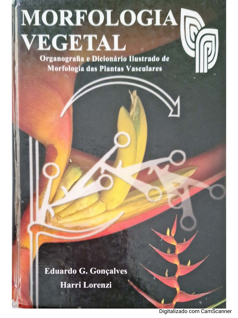 Morfologia Vegetal | PDF