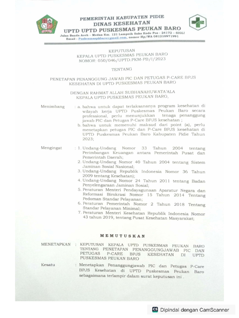 SK PJ PIC dan Petugas P-Care UPTD PKM Peukan Baro Tahun 2023 | PDF
