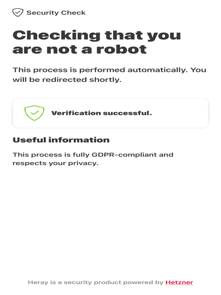 Security Check | PDF