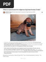 Varjak Paw Booklet | PDF