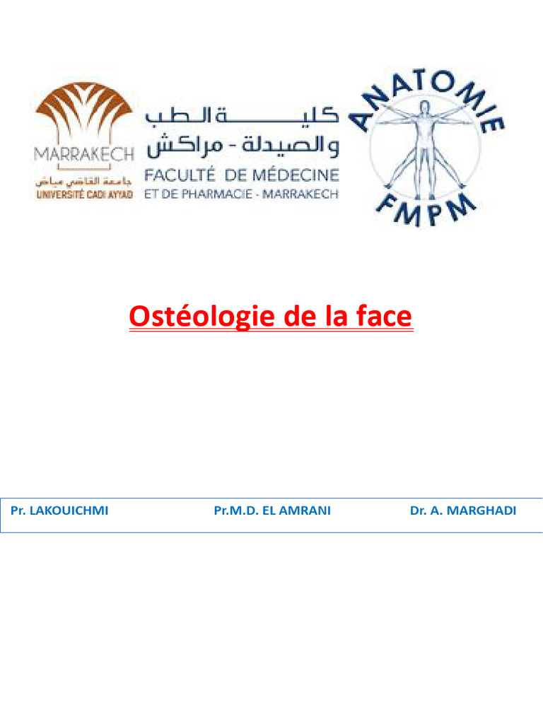 Anatomie des os de la face | PDF | Tête et cou chez l'humain | Anatomie ...