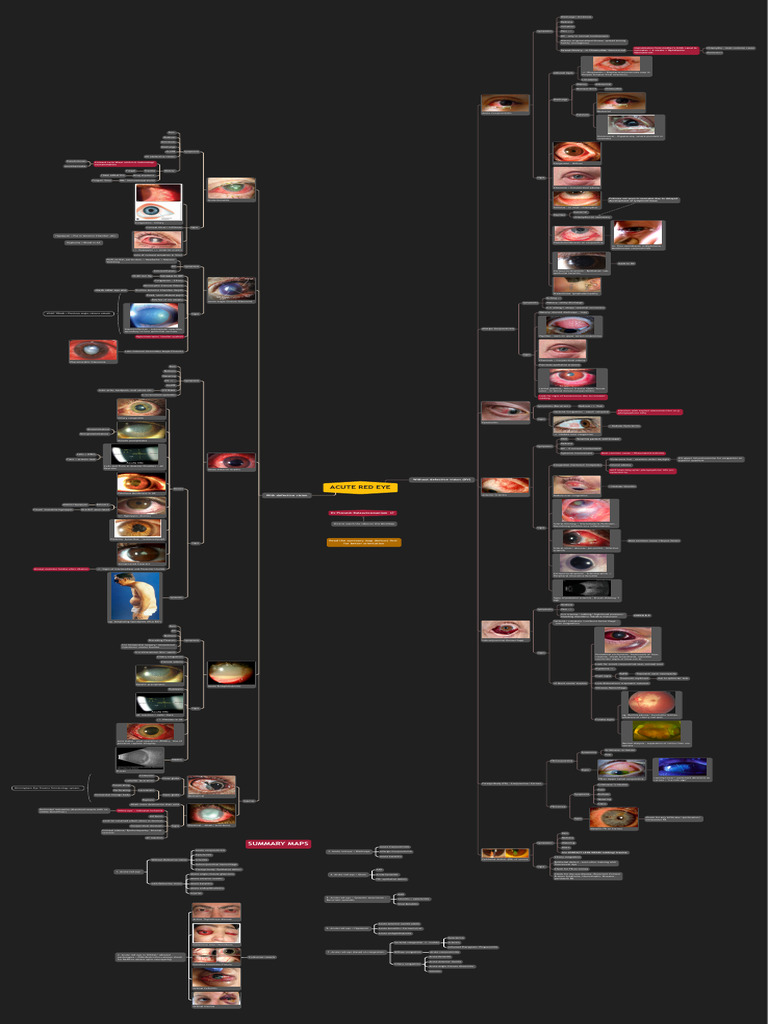 Acute Red Eye - Illustrated Mind Map by DR Pranesh | PDF