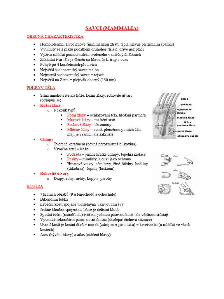 Bio 17 - Savci, Ptáci | PDF