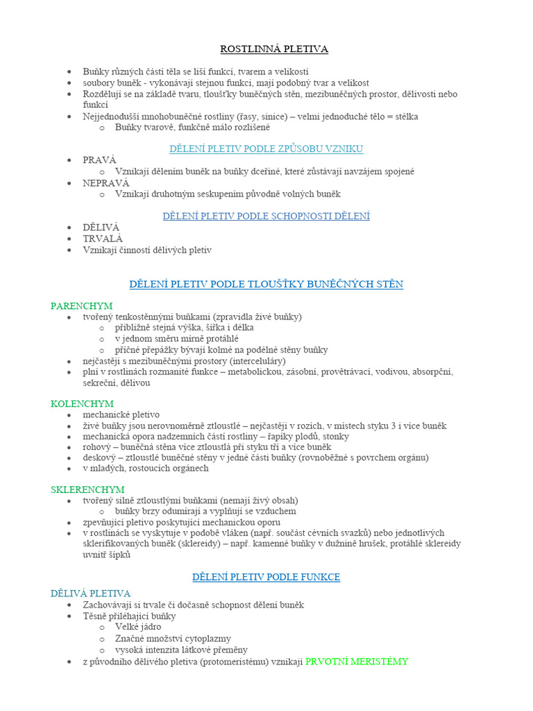 Bio 4 - Rostlinná Pletiva, Vegetativní Orgány Rostlin | PDF