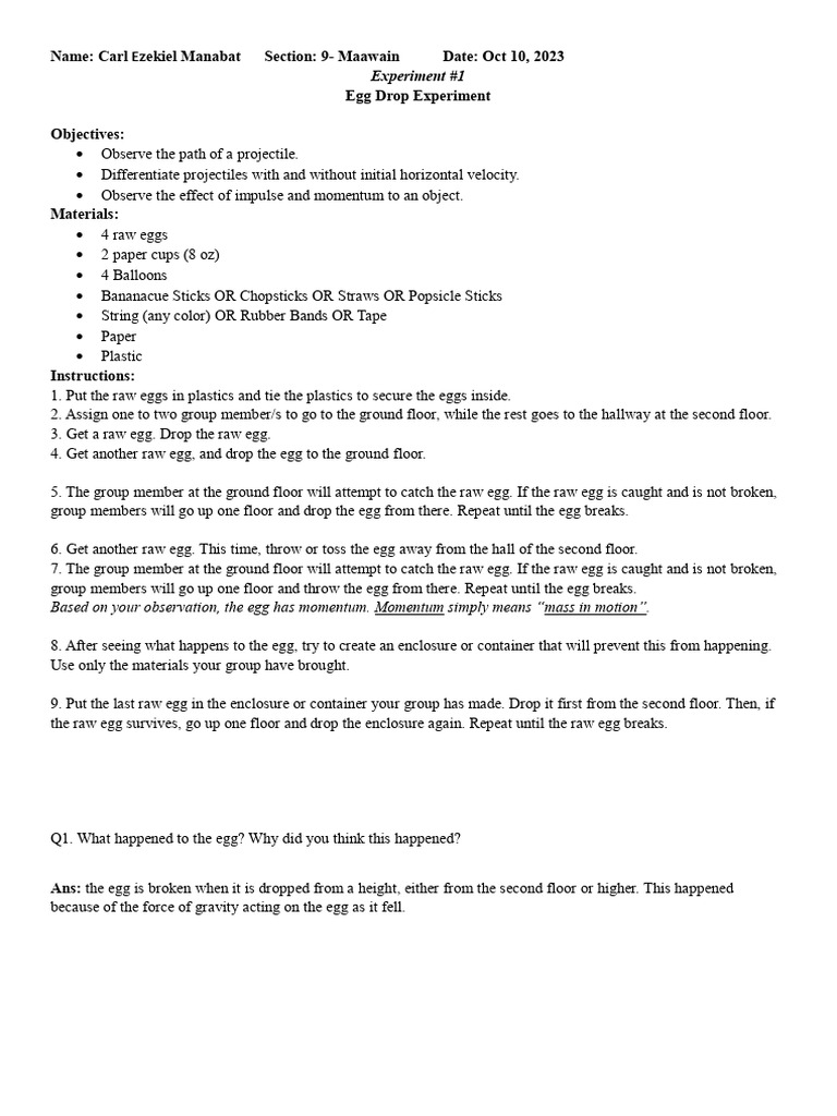 Experiment Egg Activity Sheet | PDF