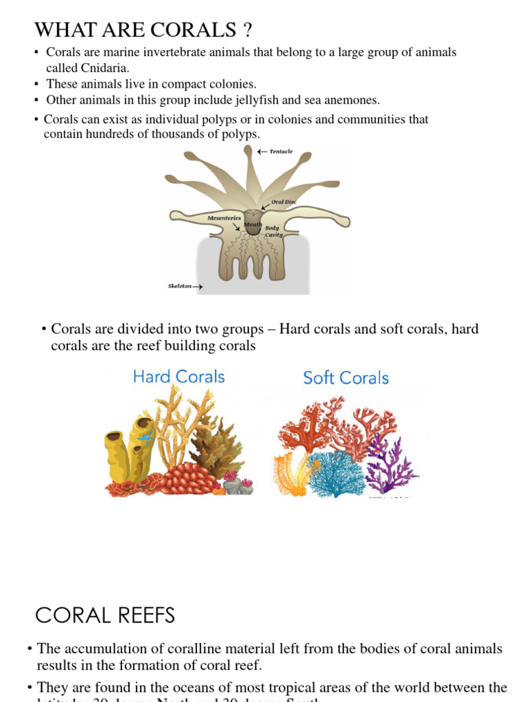 Coral Reefs: Formation and Types | PDF