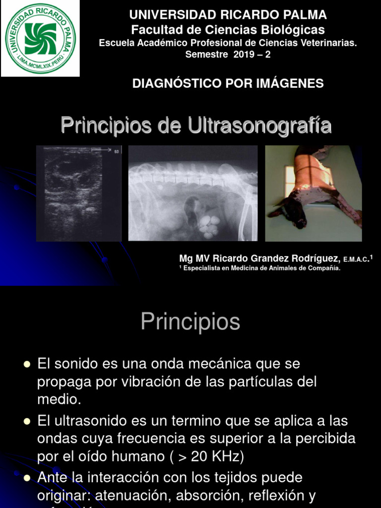 URP USG 2019 2 Clase Principios Generales | Descargar gratis PDF ...