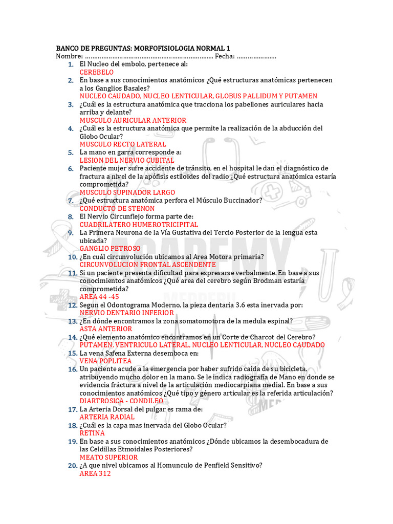 Banco - Morfo 1 Resuelto | PDF