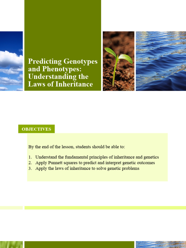 Predicting Genotypes and Phenotypes Understanding The Laws of ...