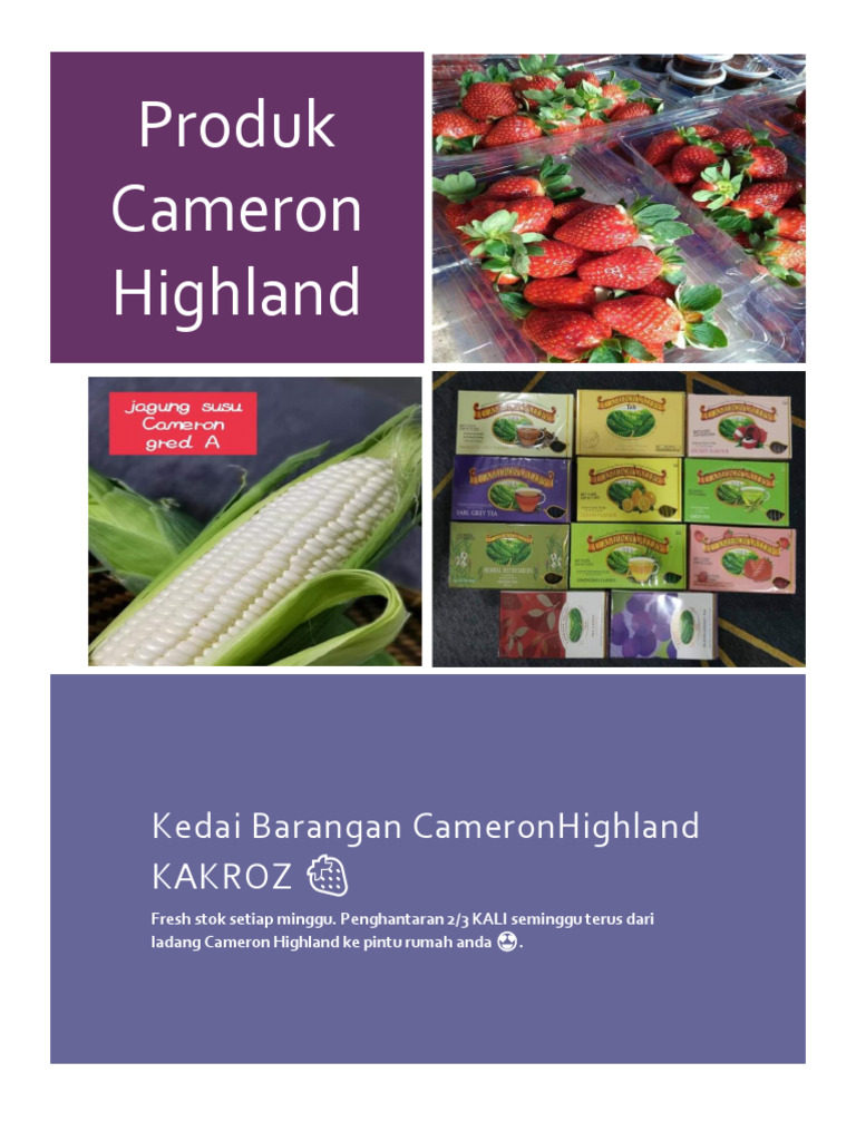 Katalog Cameron | PDF
