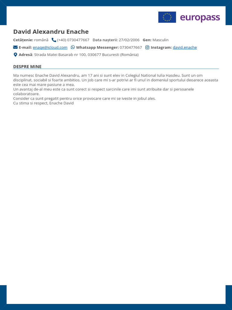 CV - David Alexandru Enache | PDF