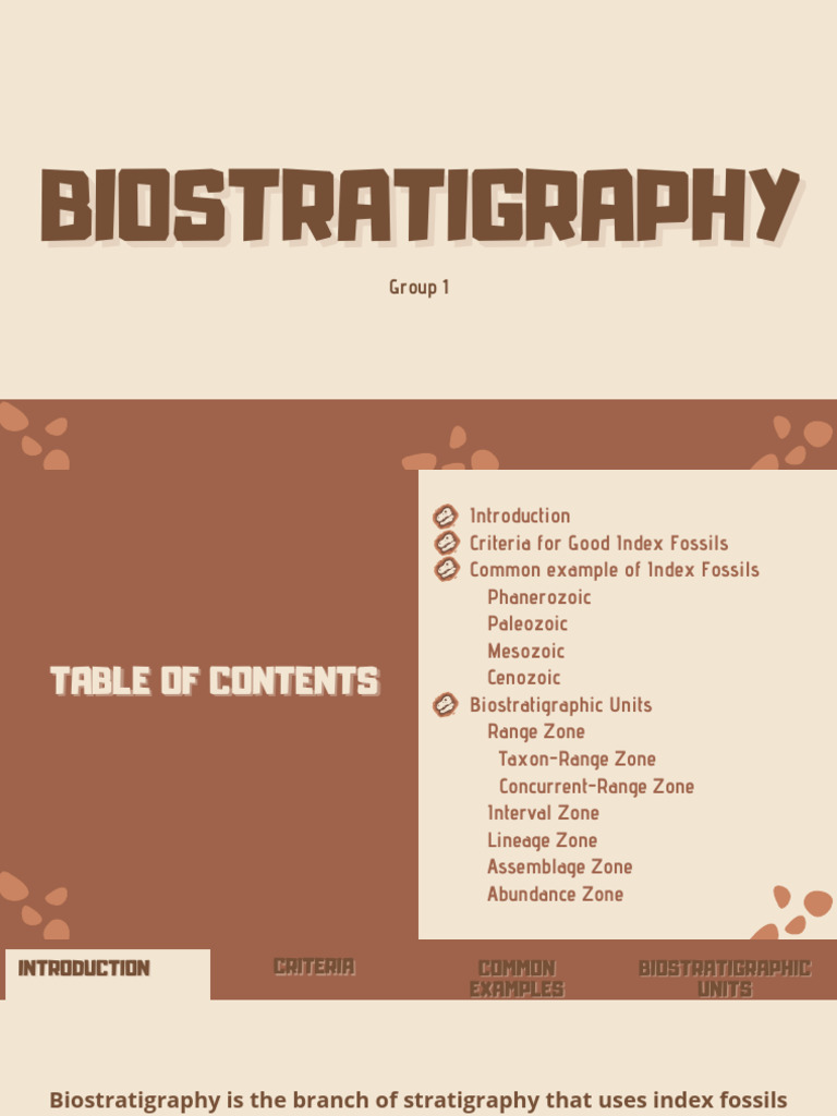 Biostratigraphy 2 | PDF