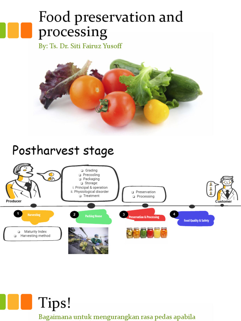 Lecture 13. Food Preservation and Processing | PDF