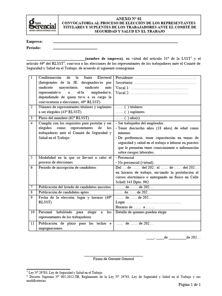 Anexo 1 - Convocatoria Al Proceso de Elección CSST | PDF | Gobierno ...