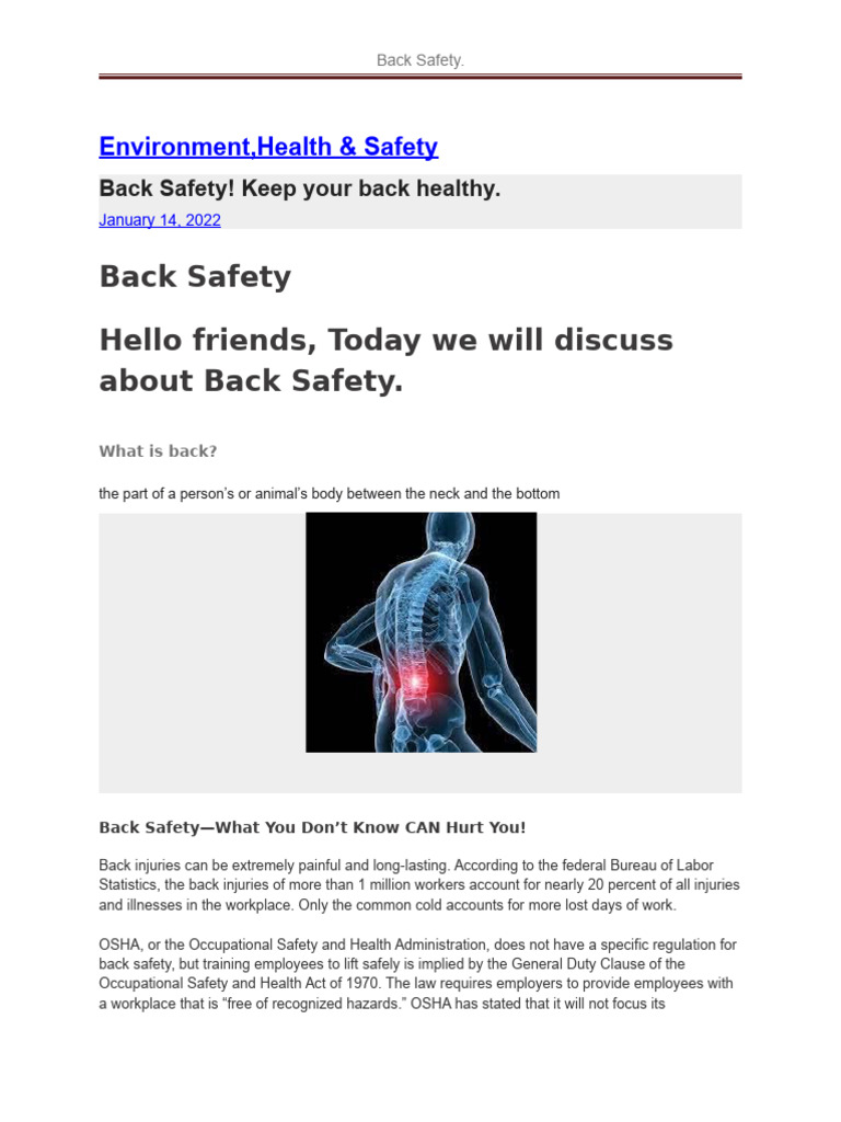 Alstom (Back Safety) . | PDF