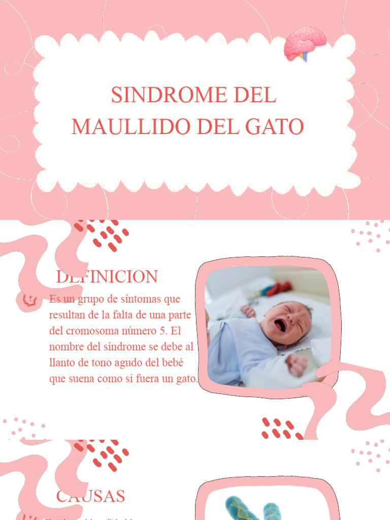 Sindrome de Filadelfia | PDF | Salud y bienestar | Estilo de vida