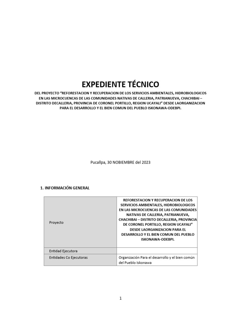 Perfil Tecnico de Proyecto Kion | PDF