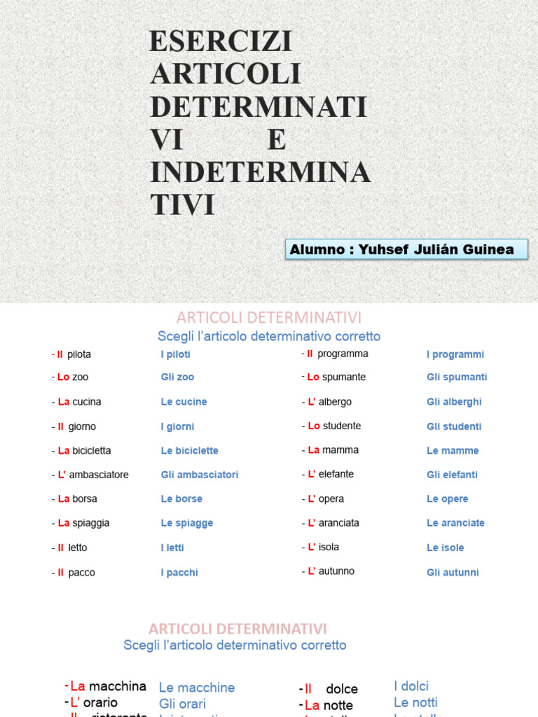 Esercizi Articoli Determinativi e Indeterminativi e Generi Dei Nomi | PDF
