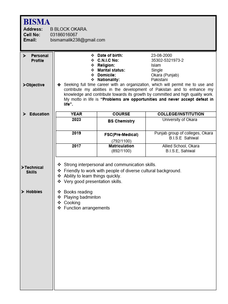 Bisma Malik's Career Profile | PDF