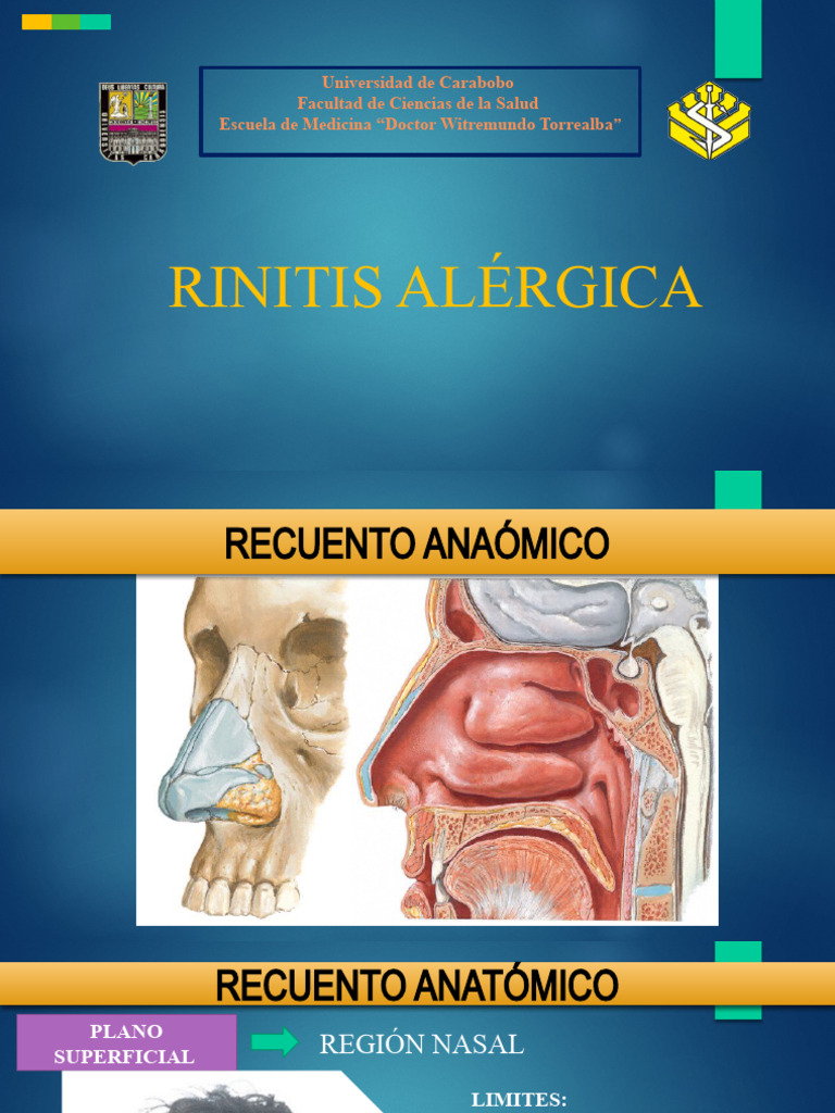 Rinitis alérgica | PDF
