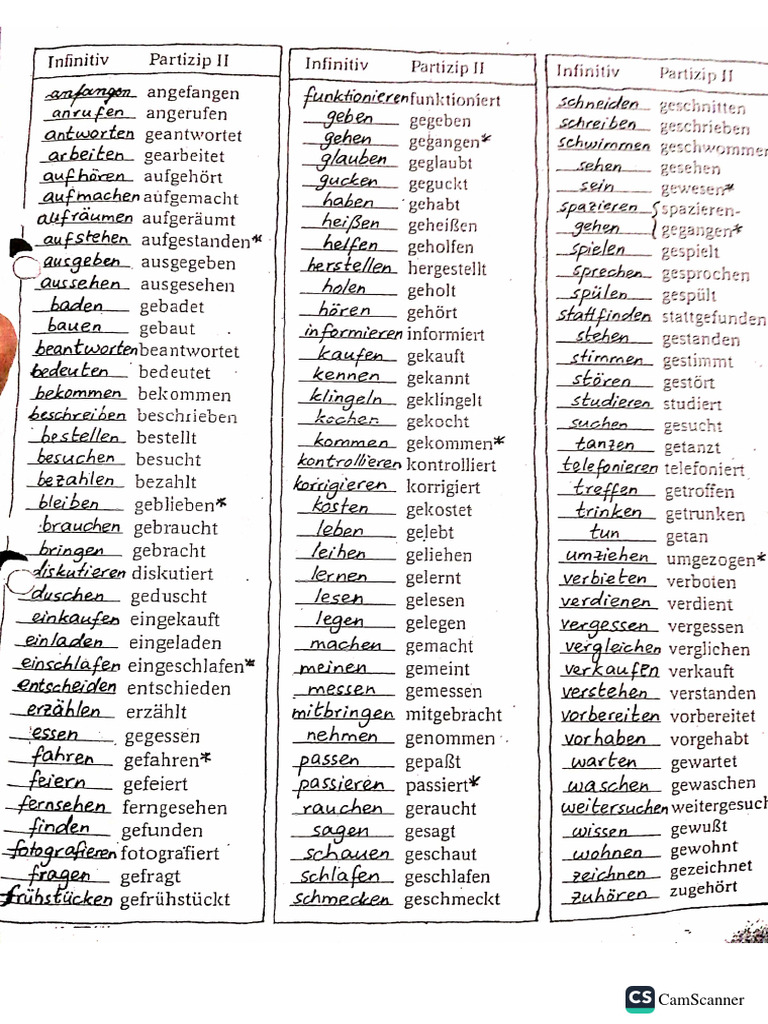 German Verbs in Perfekt | PDF