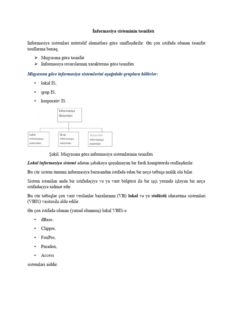 Movzu 5. İnformasiya Sisteminin Təsnifatı | PDF