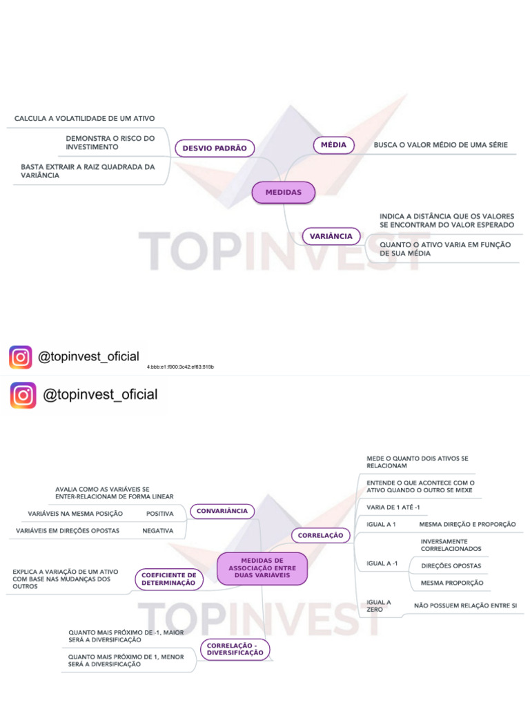 Mapas Mentais CPA 20 | PDF