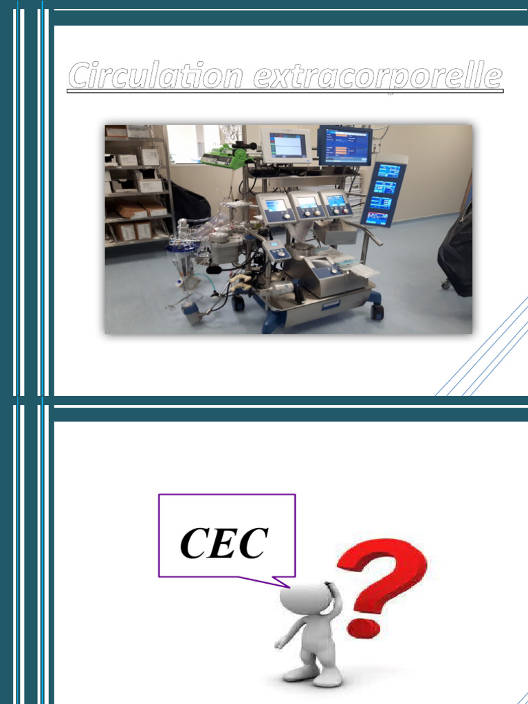 Circulation Extracorporelle 2 | PDF | Sang | Aorte