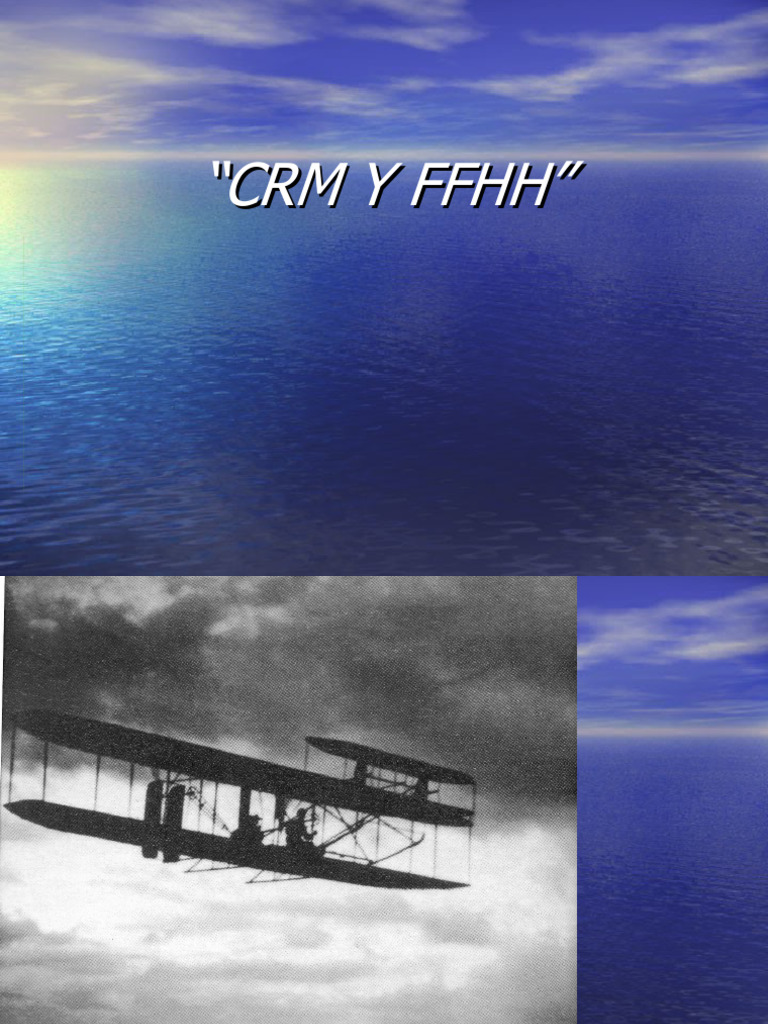 CRM y FFHH | PDF