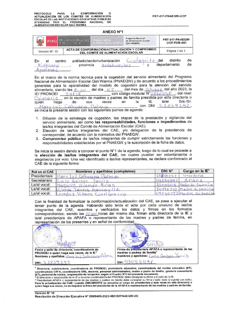 Conformacion Del CAE de IE 54718 - 2024 Ultimo | PDF