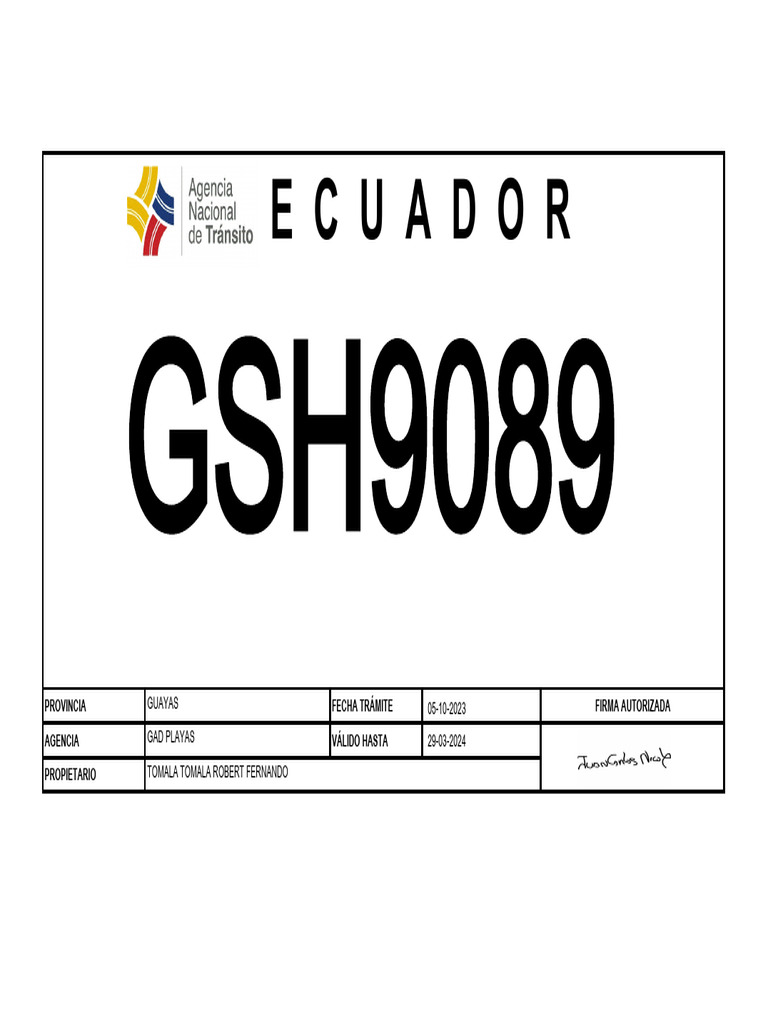 GSH9089 Placa Provisional | PDF