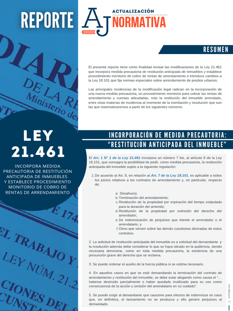 Reporte Actualizacion - Ley 21461 | Descargar gratis PDF | Demanda ...