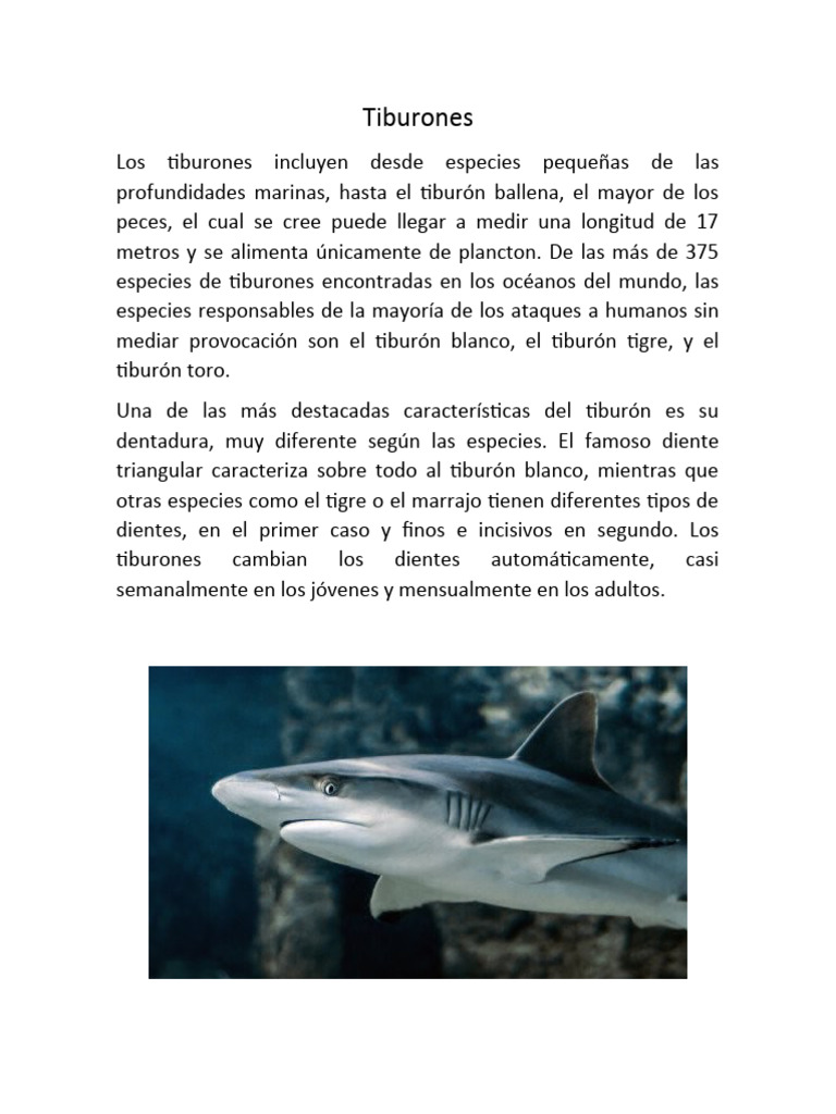 Tiburones | PDF
