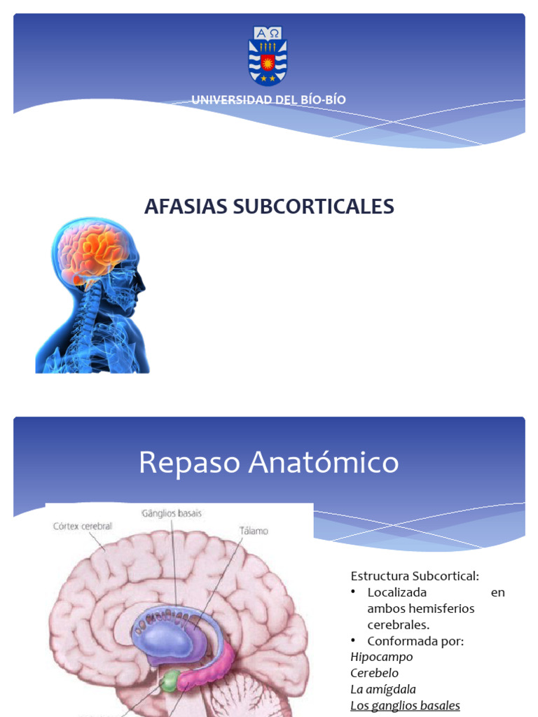 Clase 1. Afasias Subcorticales | PDF | Cerebro | Afasia