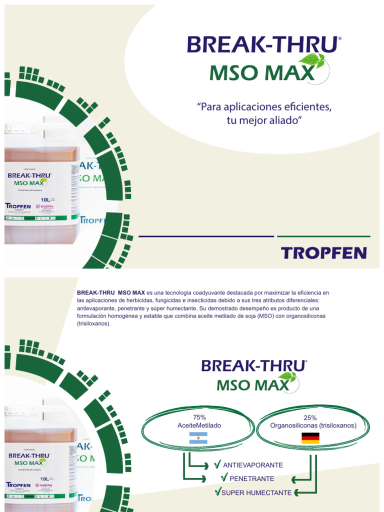 Cartilla Mso Max | PDF