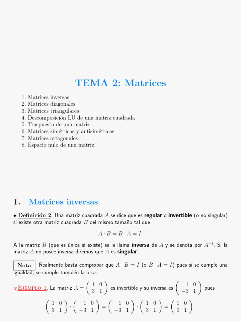 Alg - Ut 2 - Matrices | PDF | Matriz (Matemáticas) | Objetos matemáticos