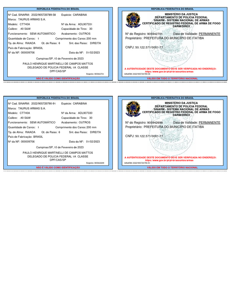 CRAF Carabina CTT40 | PDF