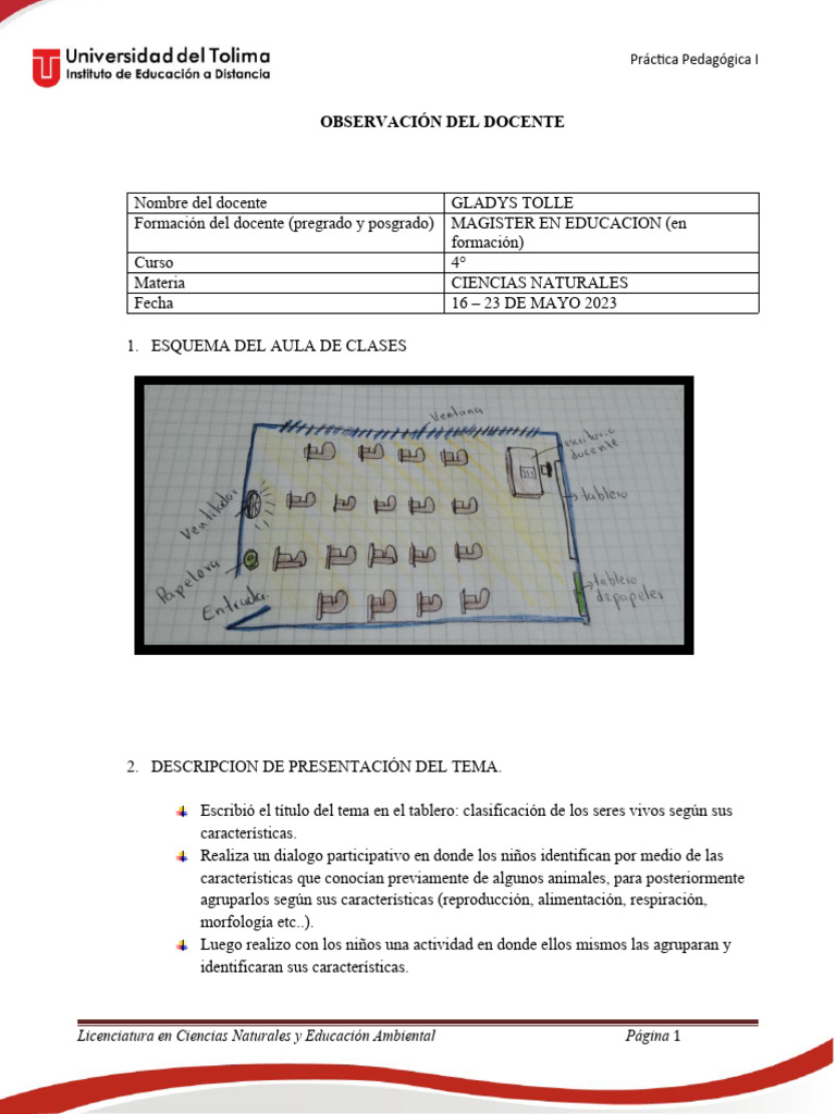 FORMATO OBSERVACIÓN A UNA CLASE Ciencias Naturales 1 | PDF