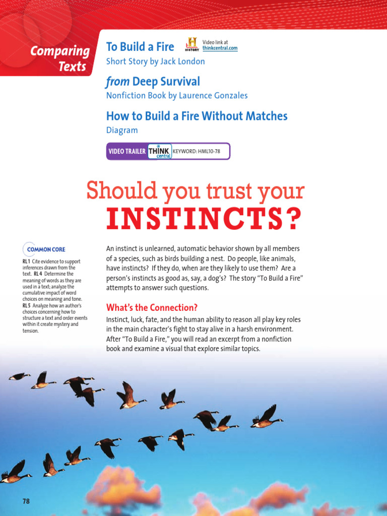 R3 - To Build A Fire | PDF | Narration | Instinct