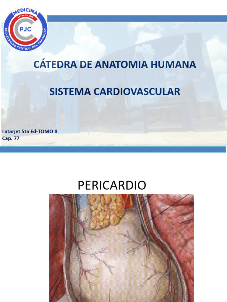 Pericardio | PDF