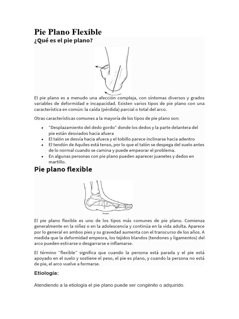 Pie Plano Flexible Ariana | PDF