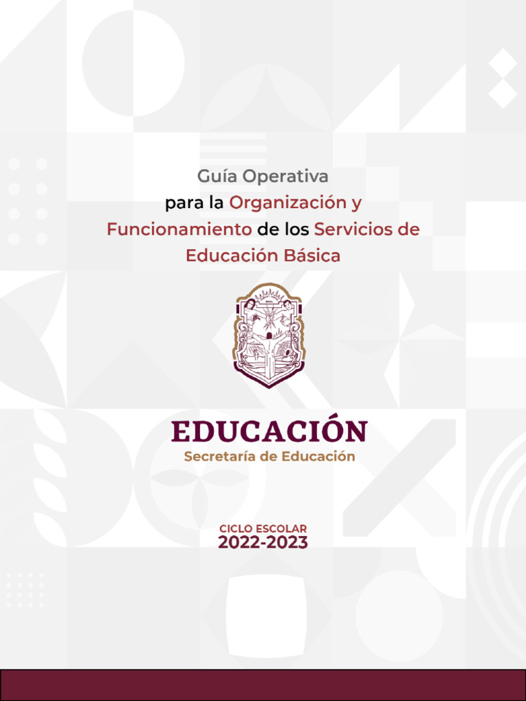 Guía Operativa para La Organización y Funcionamiento de Los Servicios ...