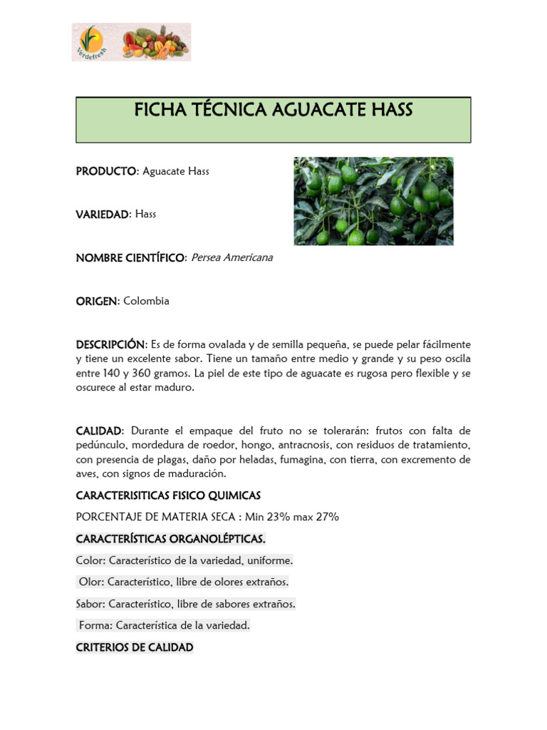Ficha Tecnica Aguacate Hass - 6 | PDF | Aguacate