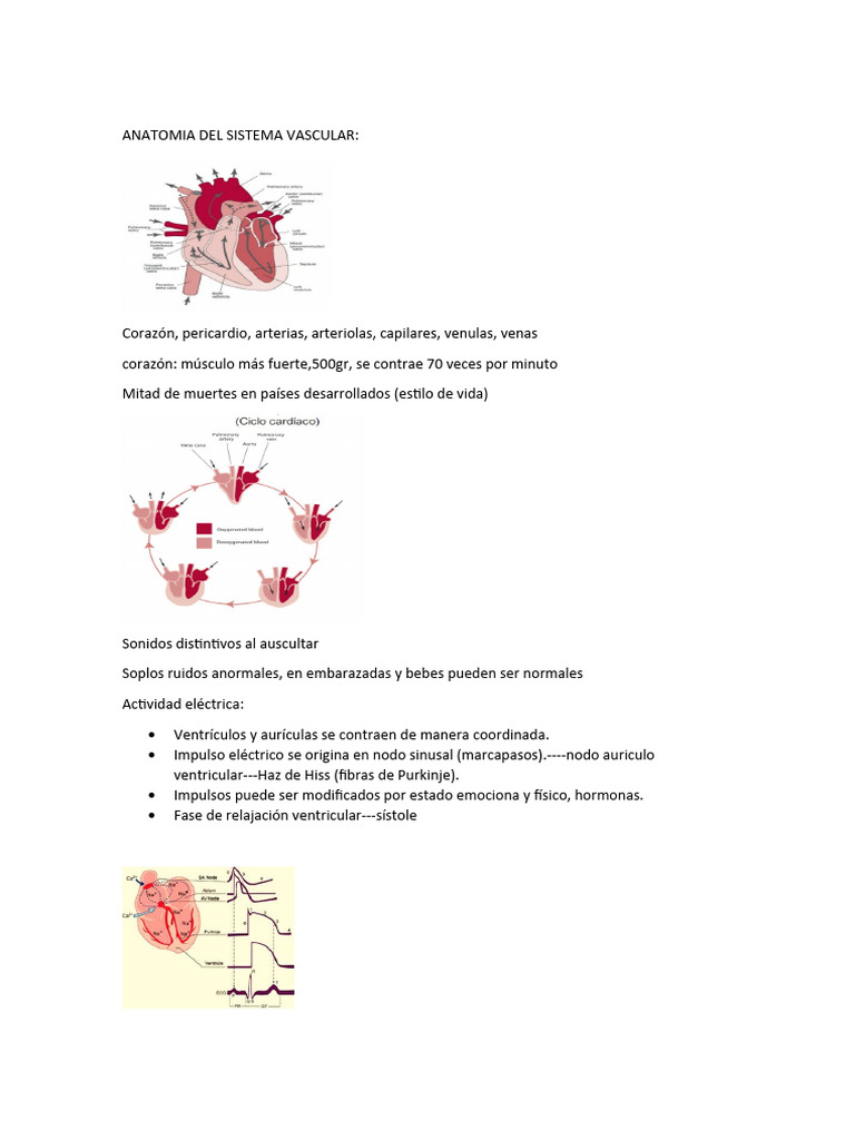 Mapa Tema 4 | PDF | Electrocardiografia | Medicina Interna
