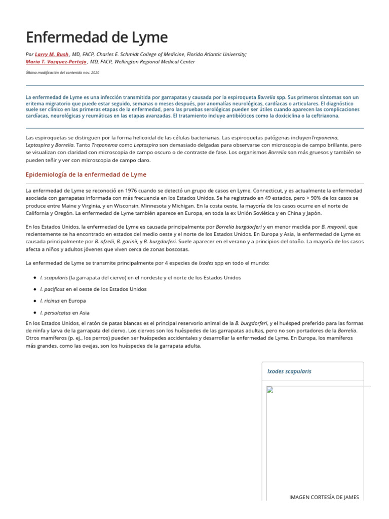 Enfermedad Lyme | PDF